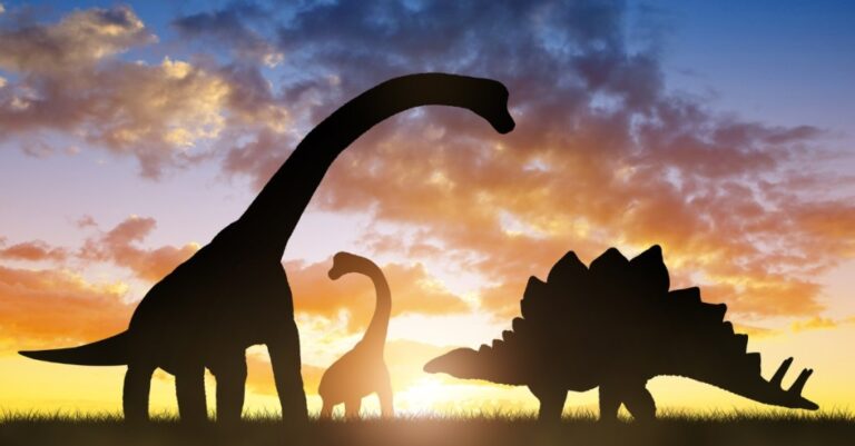 Researchers Uncover Dinosaurs' Violent Mating Rituals, Gender Clues ...
