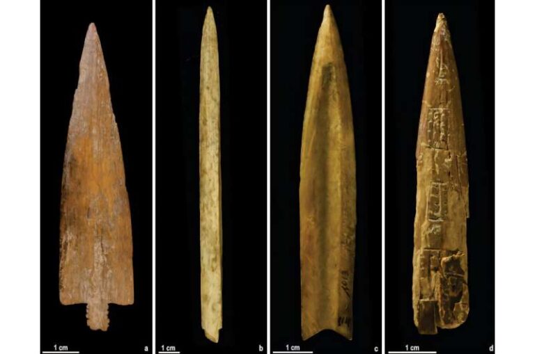 Ancient Bone Arrow Points Unveil Craft Production in Argentina ...
